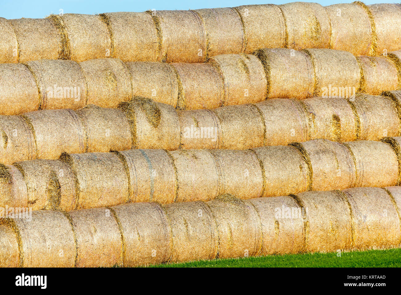 stack of straw in the field Stock Photo - Alamy