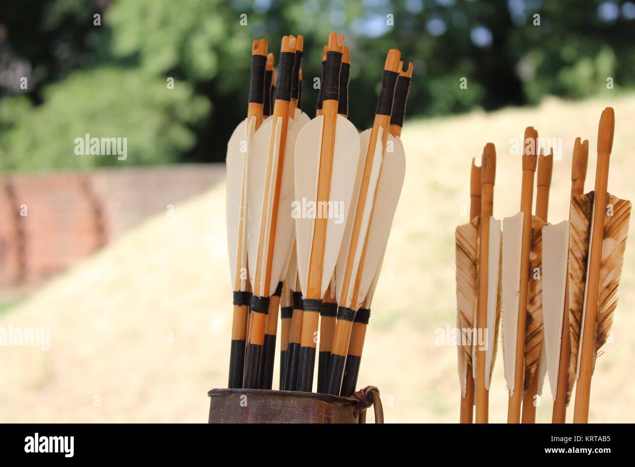 Colored feathers for arrows in a quiver Stock Photo - Alamy