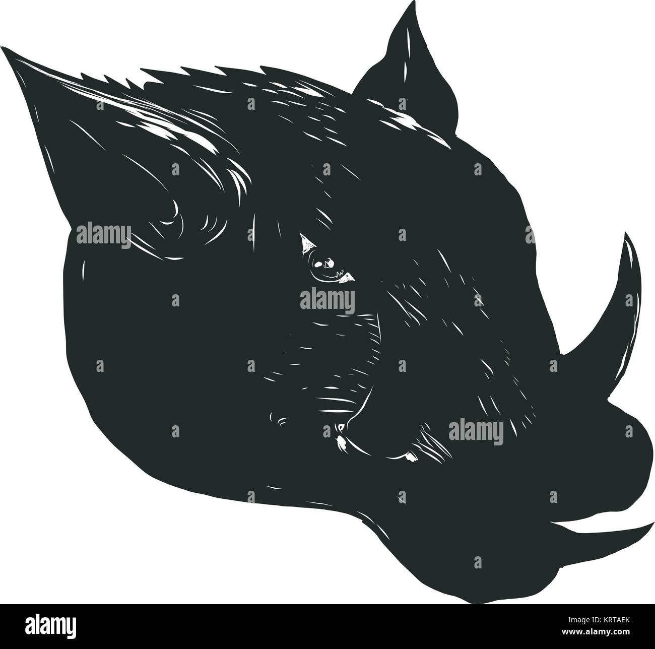Scratchboard style illustration of a Razorback ,Wild Boar, hog or pig ...