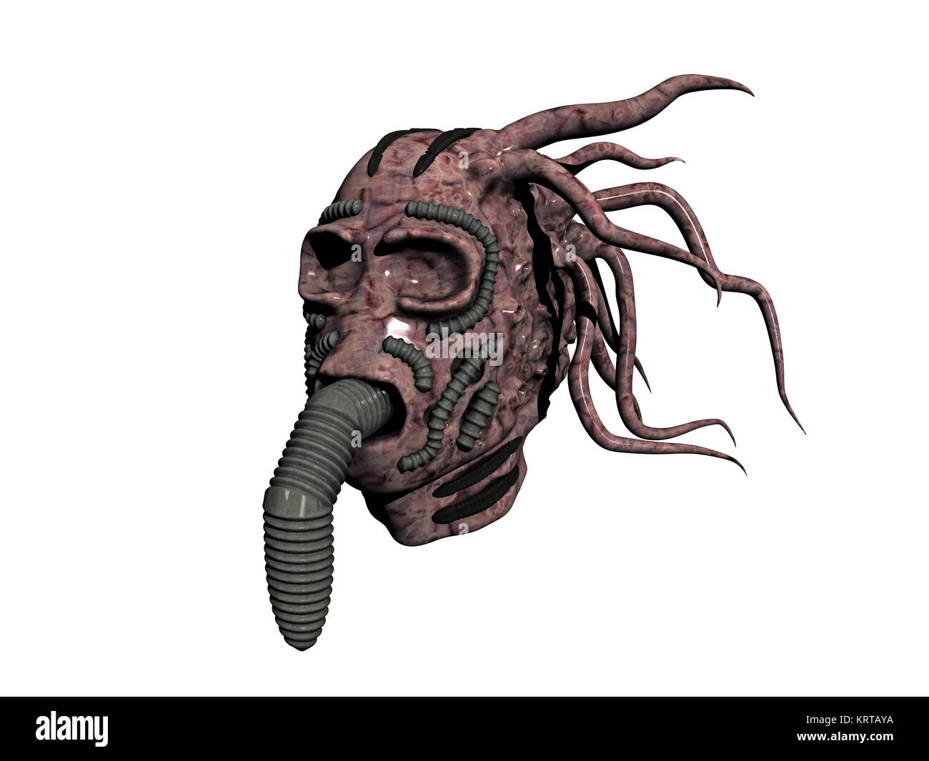 Horror head exposed Stock Photo - Alamy