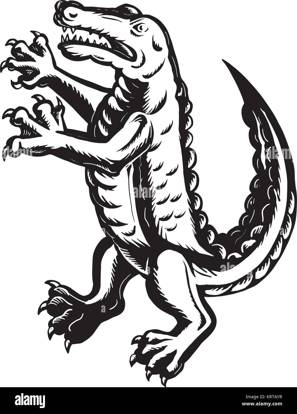 Scratchboard style illustration of an alligator or crocodile standing ...