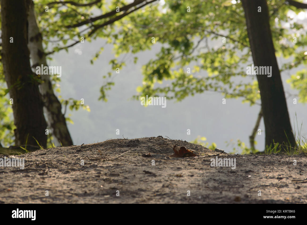 View over edge of lake bank Stock Photo - Alamy
