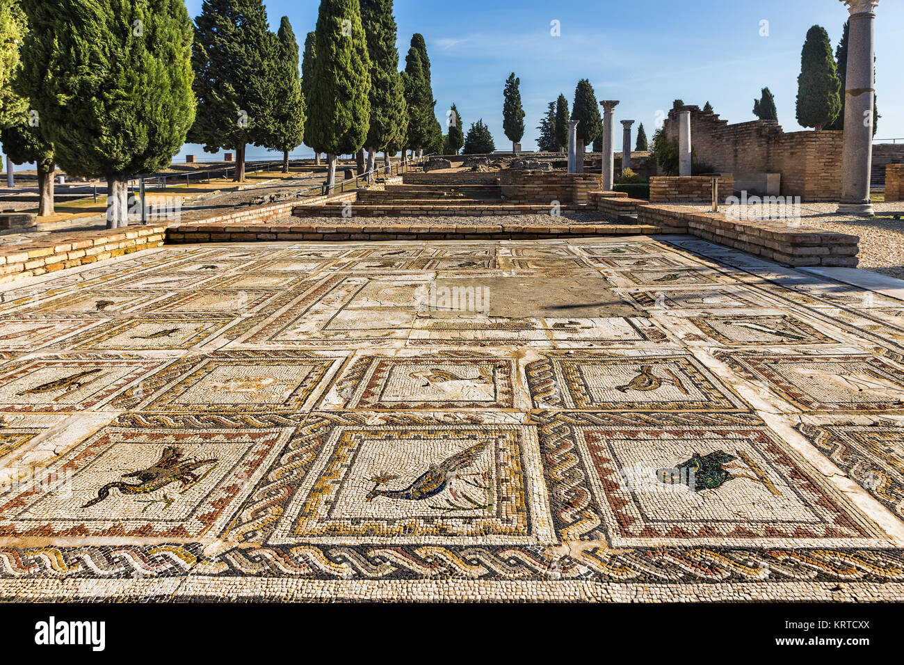 Ancient mosaic with birds. Roman ruins of Italica. Santiponce. Sevilla ...