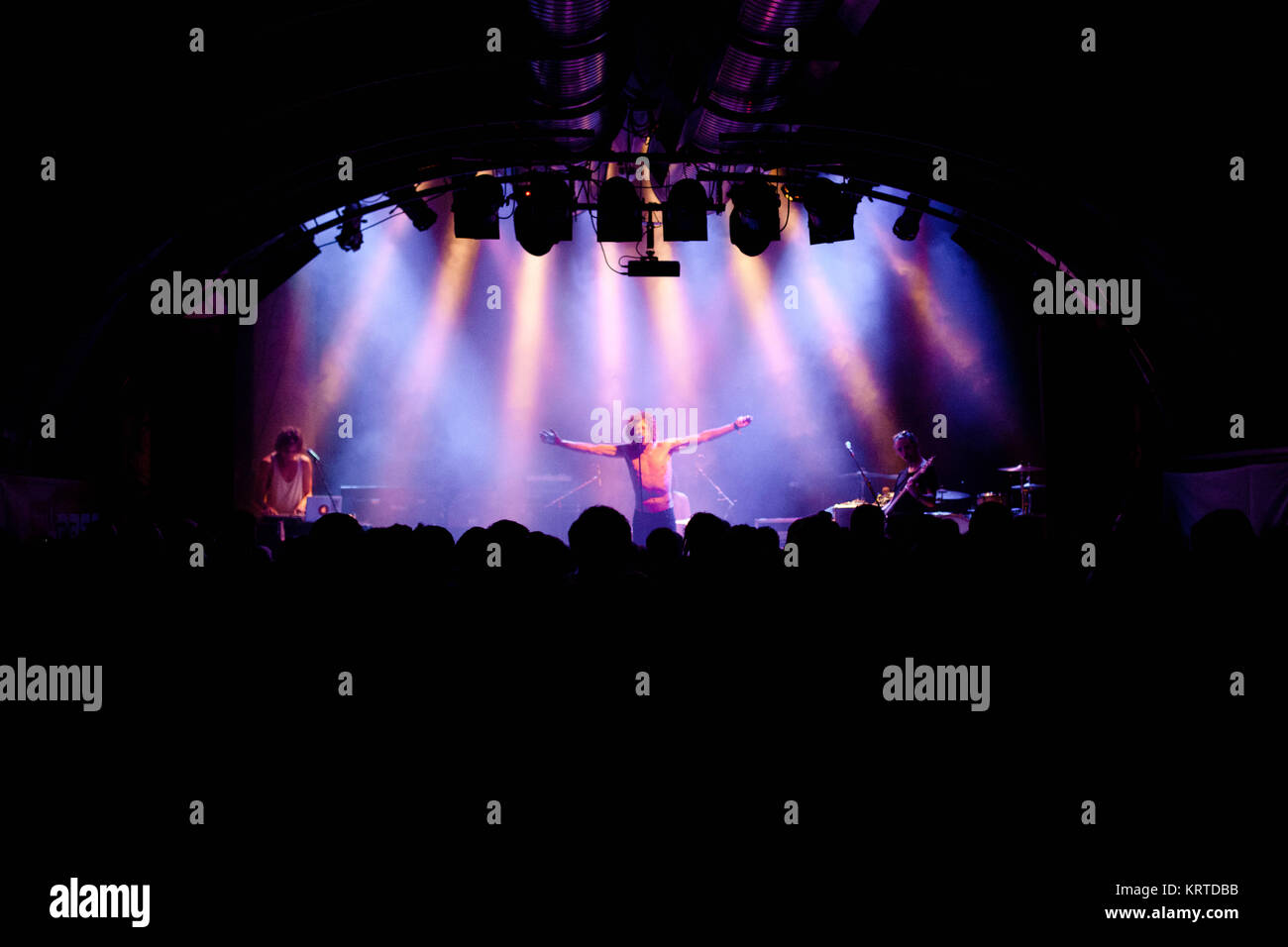Reptile youth band hi-res stock photography and images - Alamy