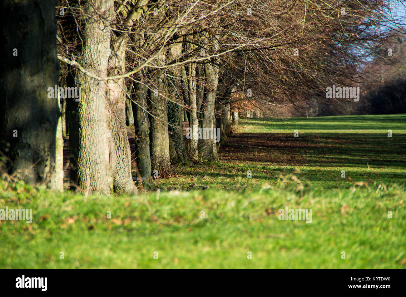 Farnham Castle Park Stock Photo - Alamy