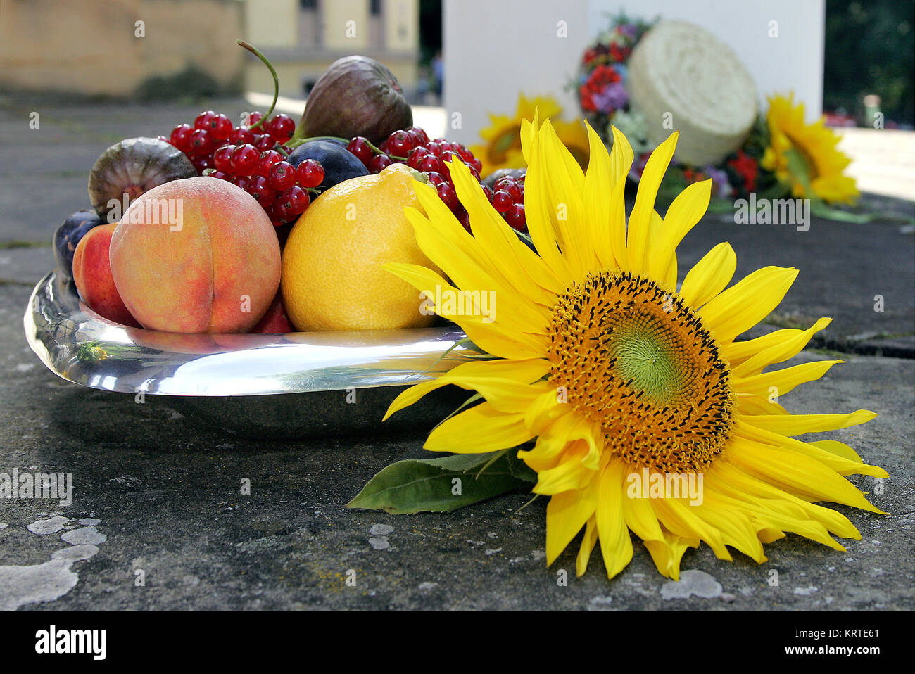 sunflower and fruit Stock Photo - Alamy