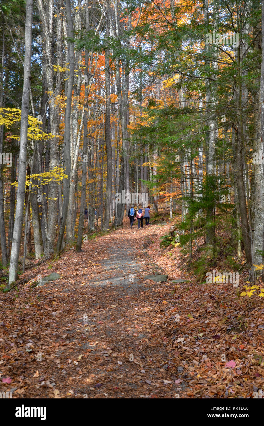 Family hiking on Mill Trail to Bingham Falls, Stowe, Vermont, USA Stock ...