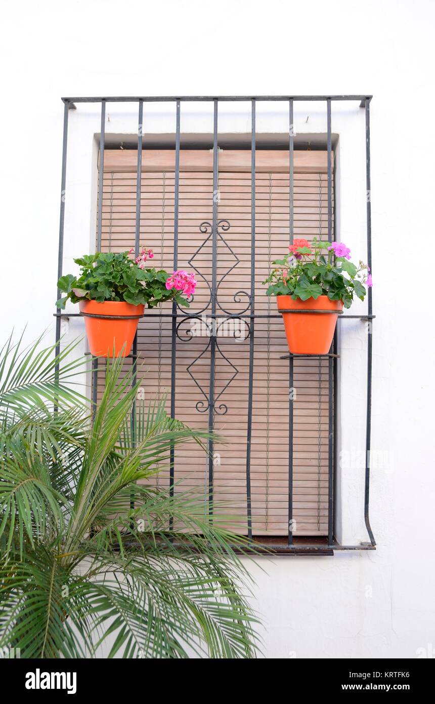Flower pots on black grille of window in the old town of Estepona ...