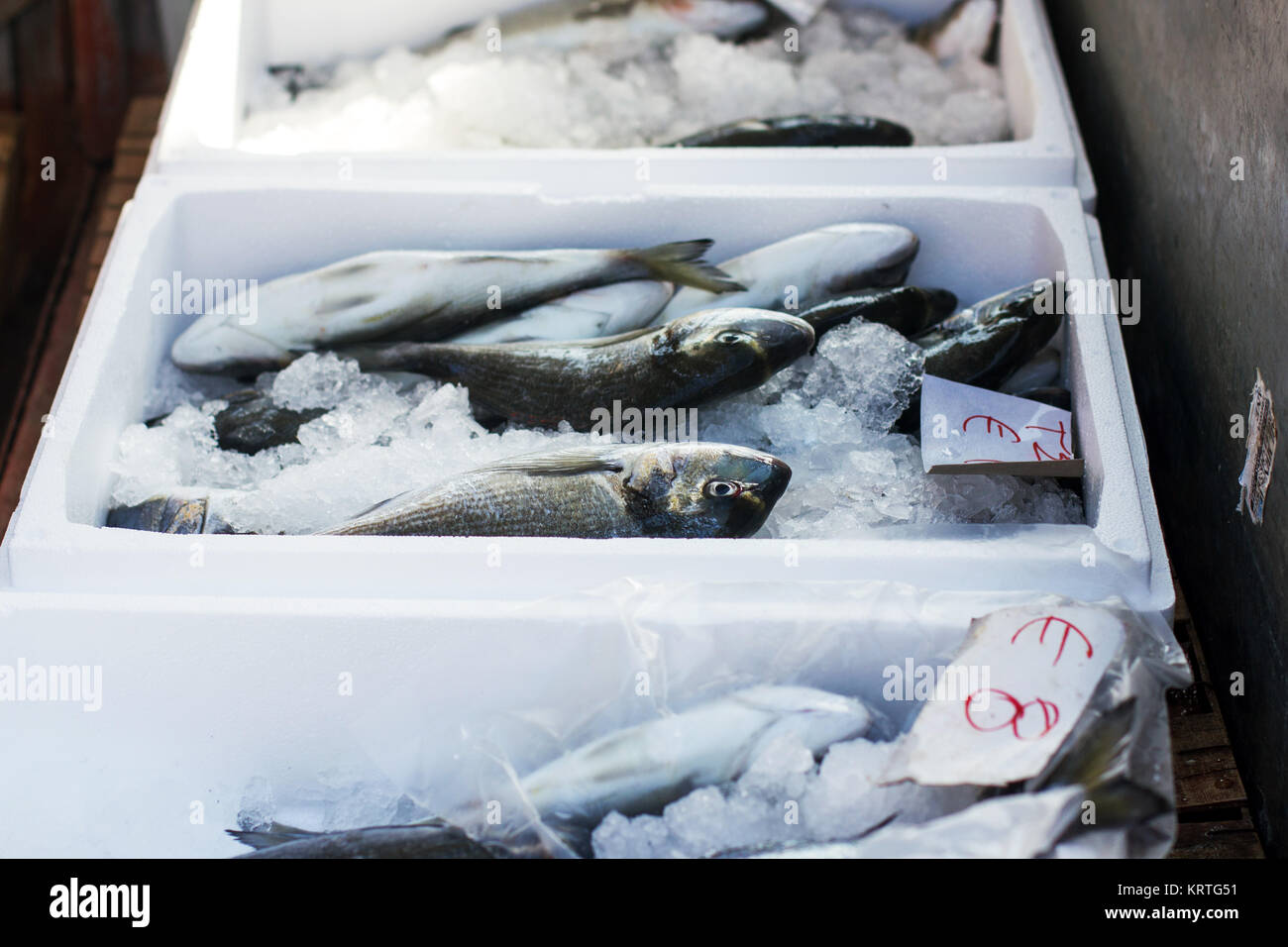 Sea Fish Market Stock Photo - Alamy