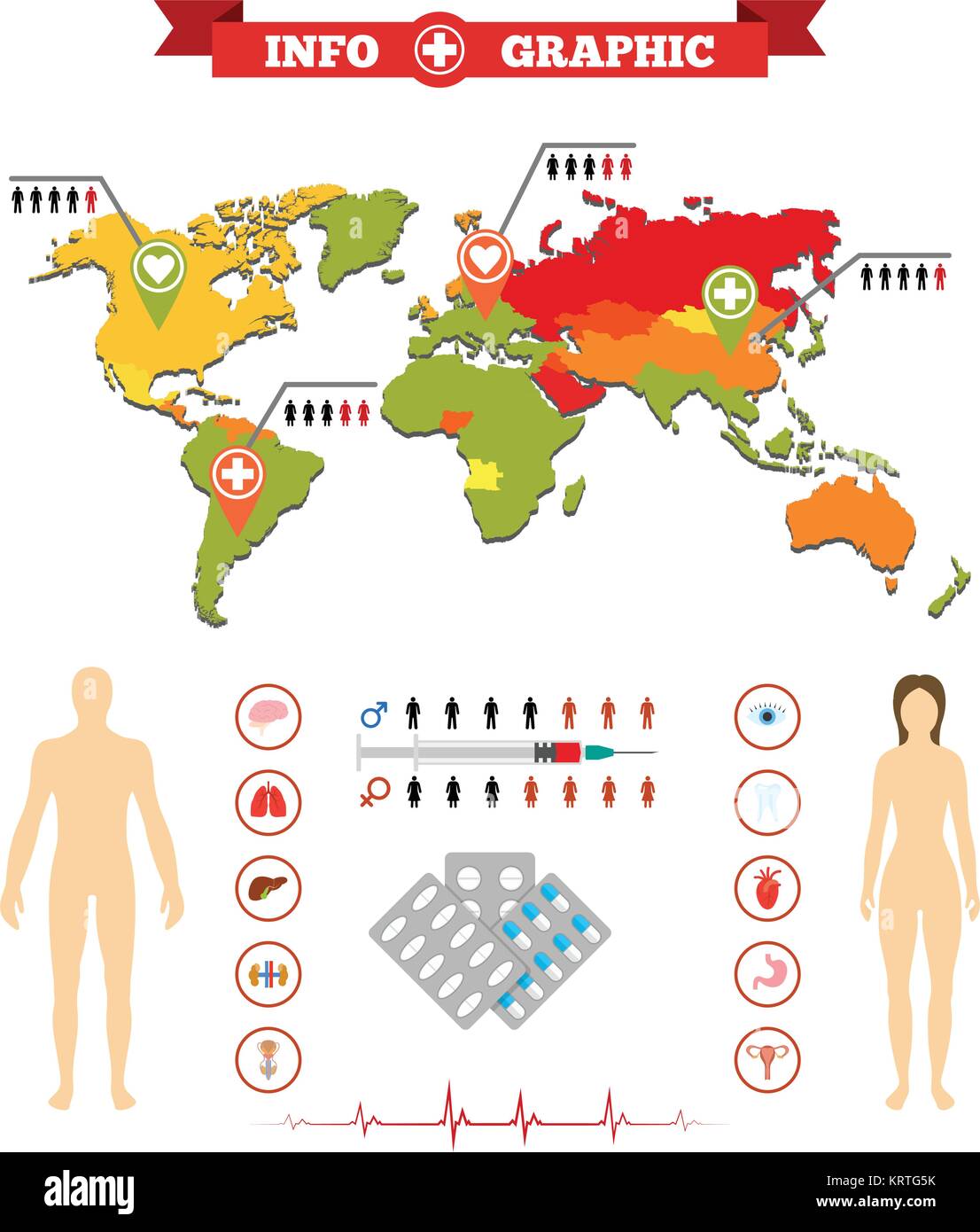 Medical anatomy women infographics and additional elements. Vector ...