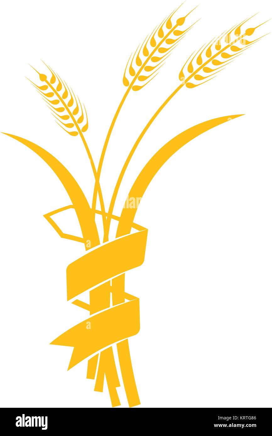 Ears of Wheat, Barley or Rye vector visual graphic icons, ideal for ...