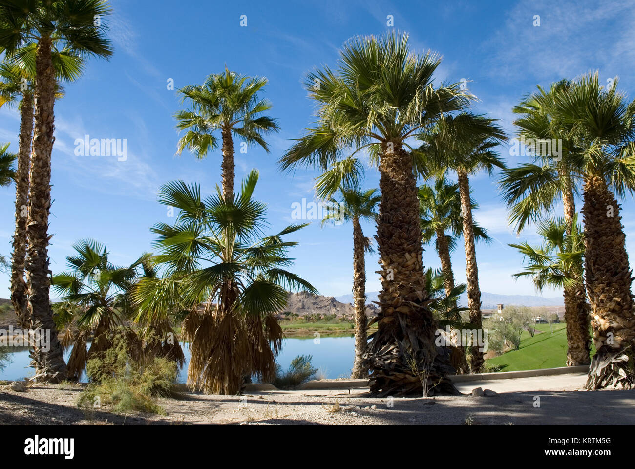 Lake Las Vegas Henderson Nevada USA Stock Photo - Alamy