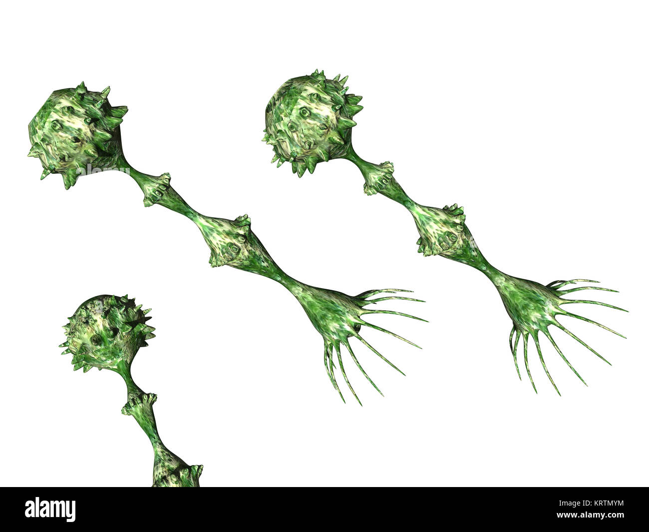 Pathogen viruses bacteria Cut Out Stock Images & Pictures - Alamy