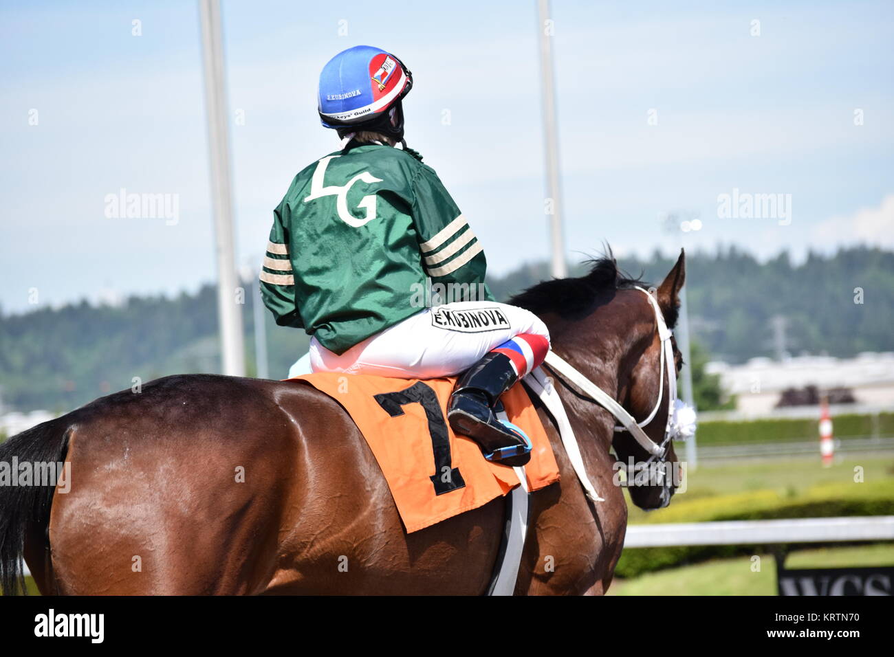 Bay race horse with jockey on Stock Photo - Alamy