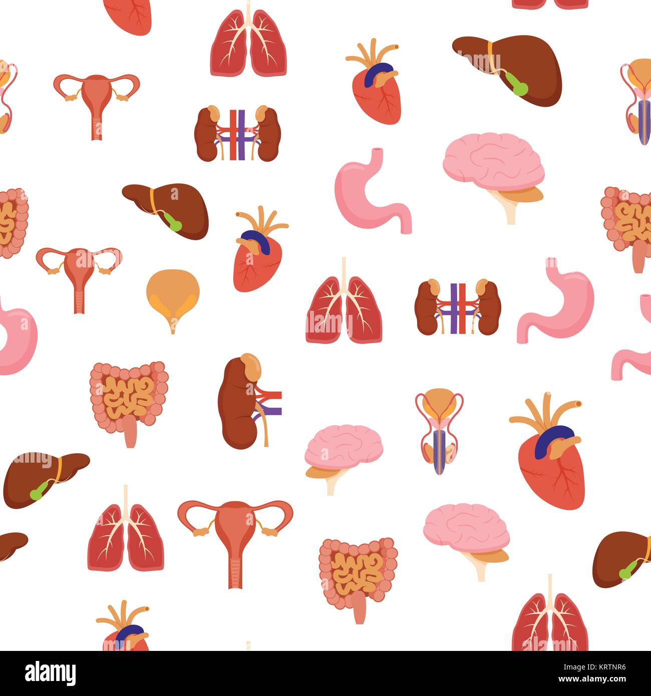 Cartoon Human Internal Organs Background Pattern on a Green Medicine ...