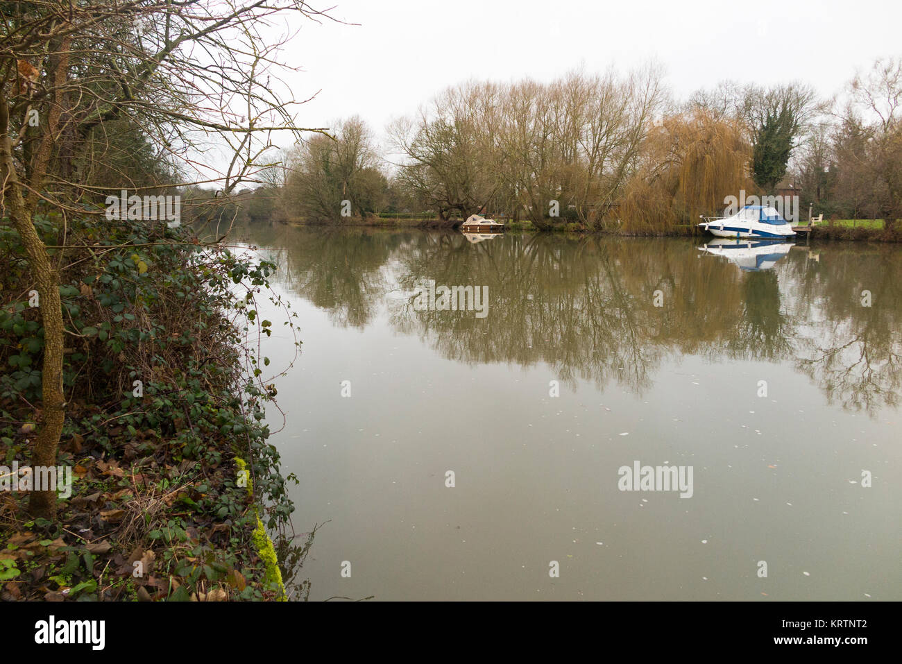 The River Thames at Runnymede ( meadow / flood plain ) on a cold damp ...