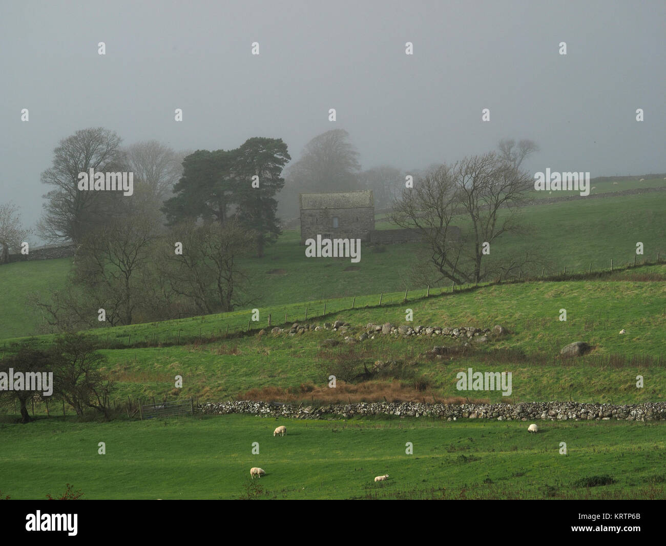 misty farming landscape in Cumbria, England, UK with old barn or field ...