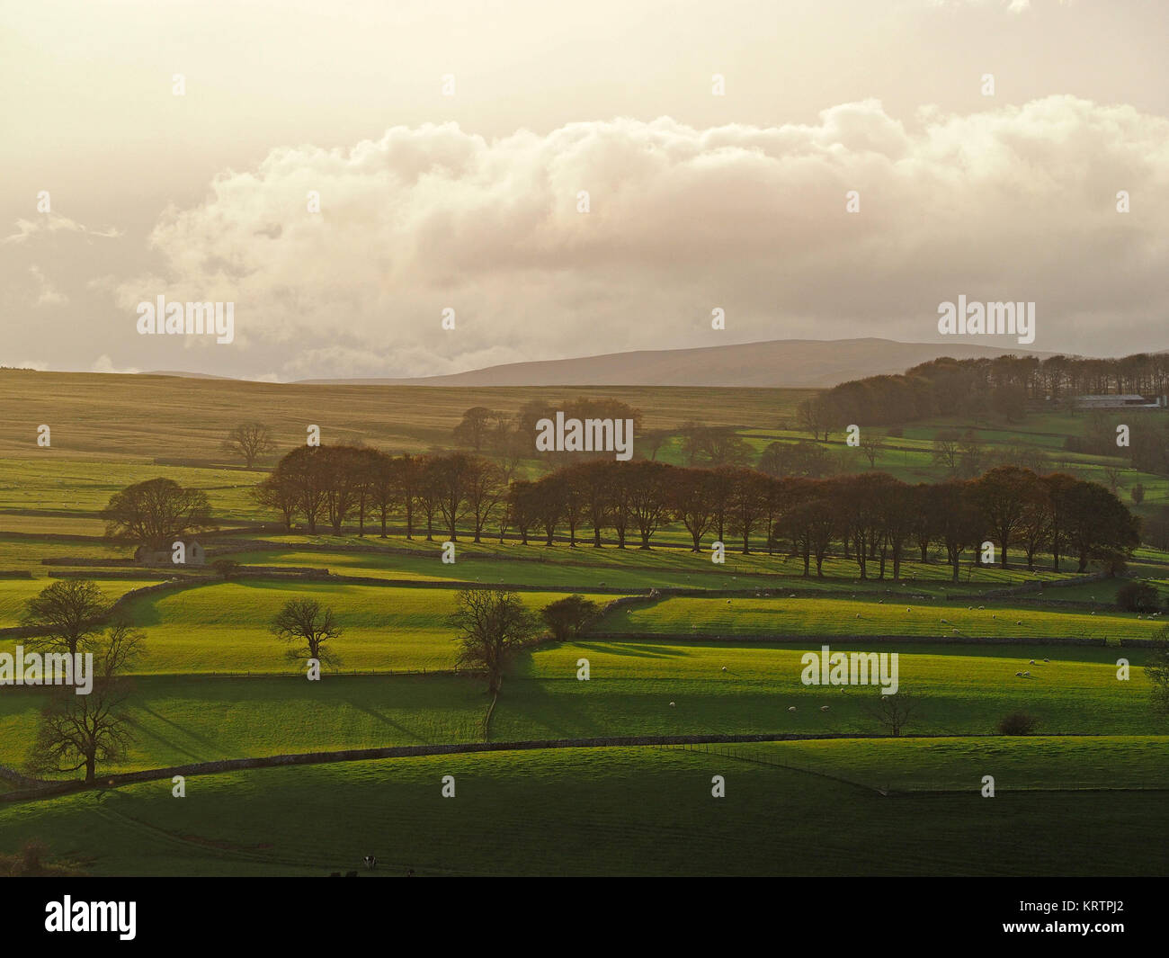 golden evening light on view of farmland from Bank Head, Crosby ...