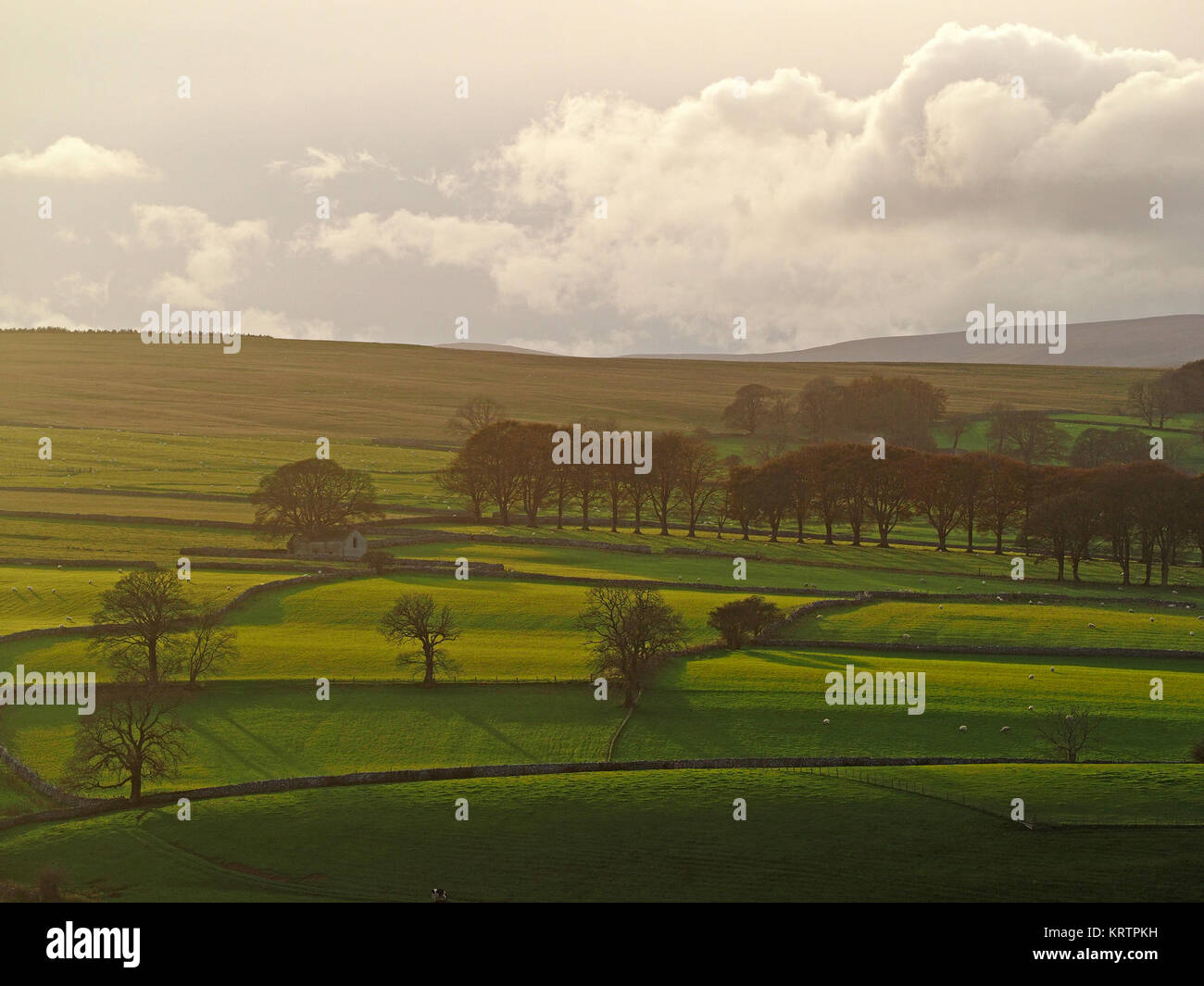 golden evening light on view of farmland from Bank Head, Crosby ...