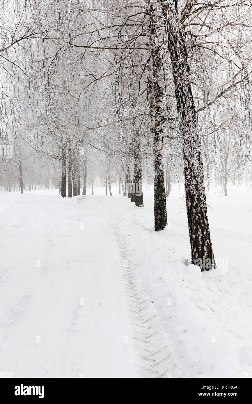 winter road with snow Stock Photo - Alamy