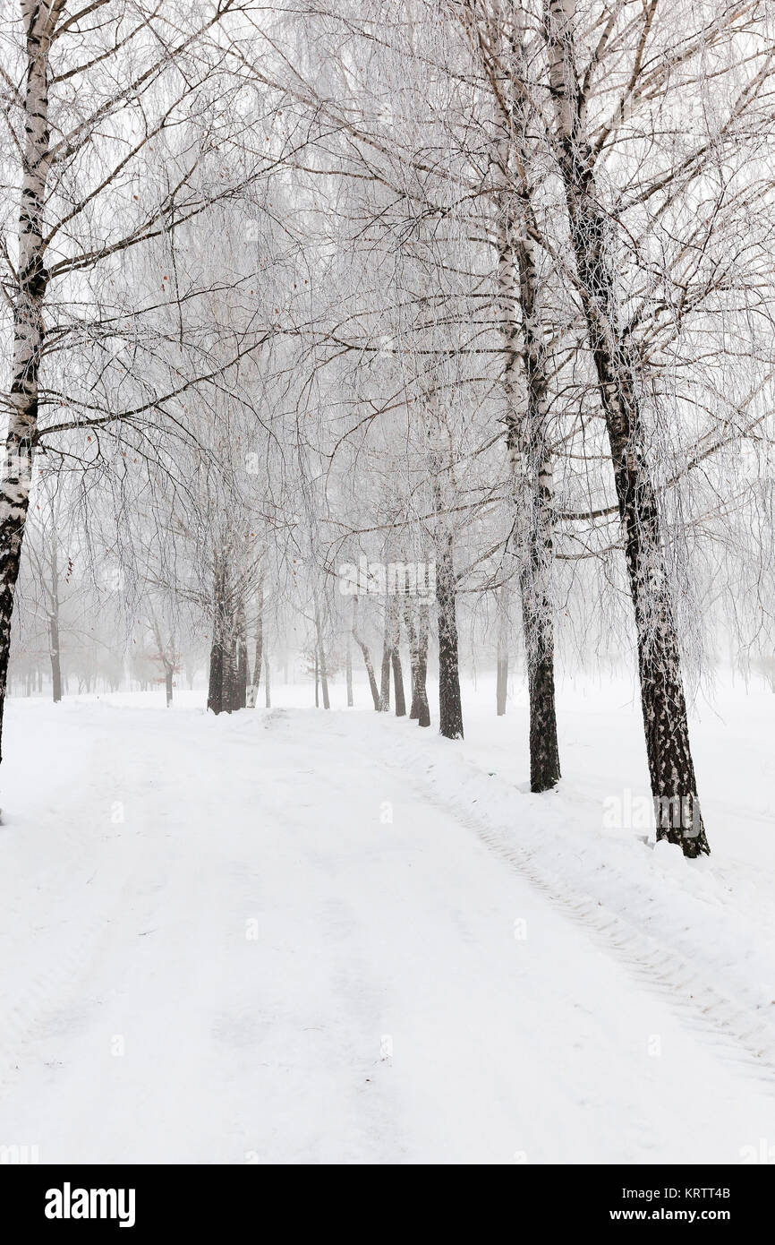 path in the snow Stock Photo - Alamy