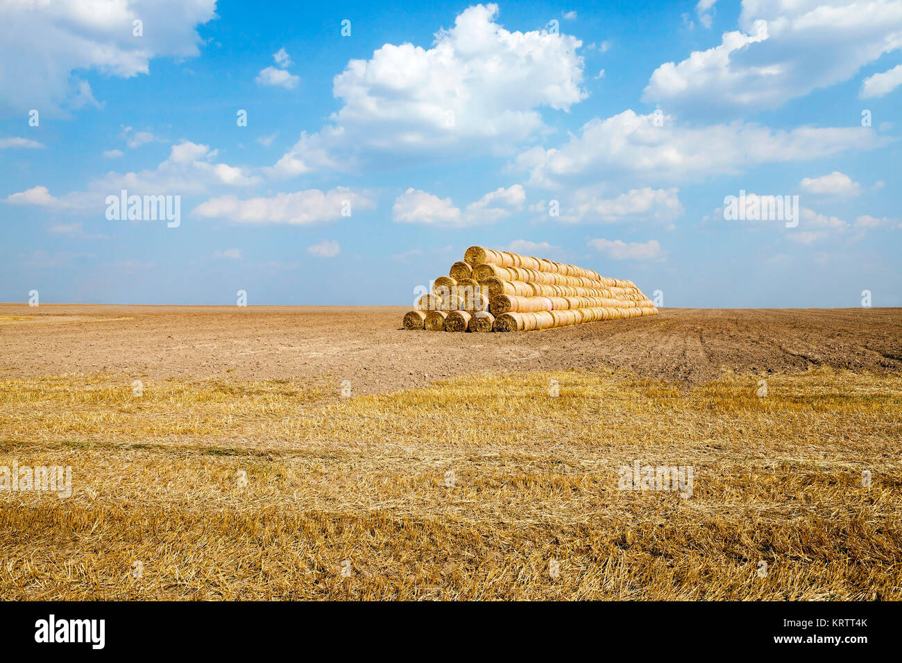 farm field cereals Stock Photo - Alamy