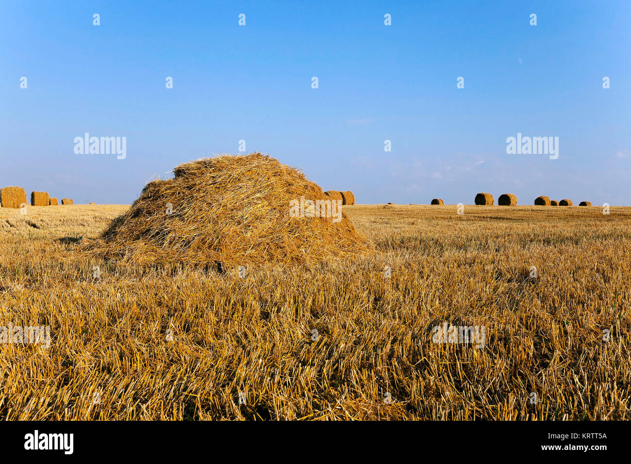 haystacks straw , summer Stock Photo - Alamy