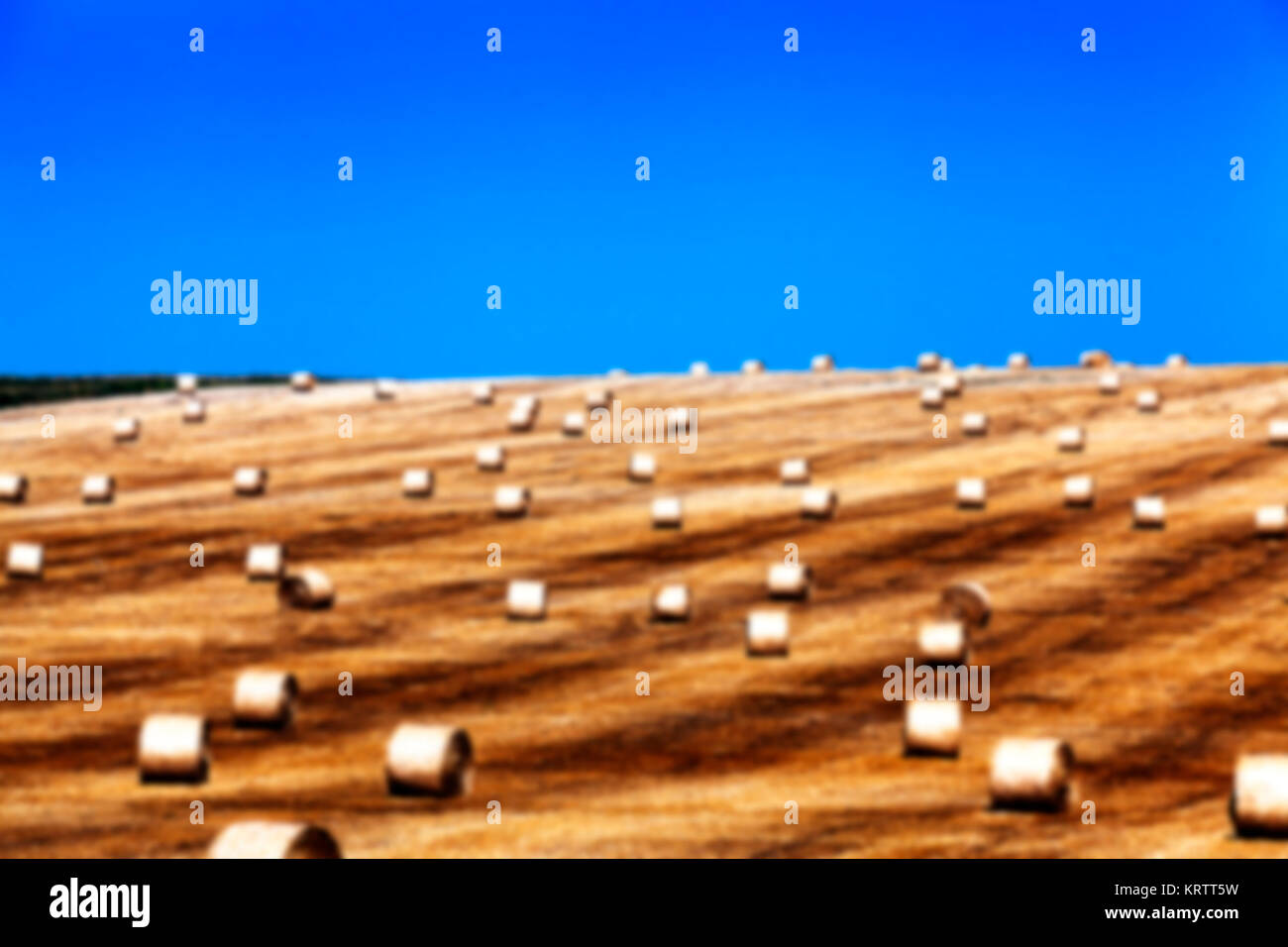 stack of straw in the field Stock Photo - Alamy