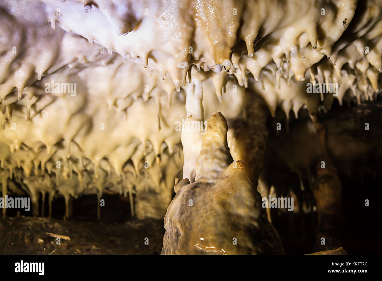Cave Ice decorations the Special Nature Reserve Uvac Serbia Stock Photo ...