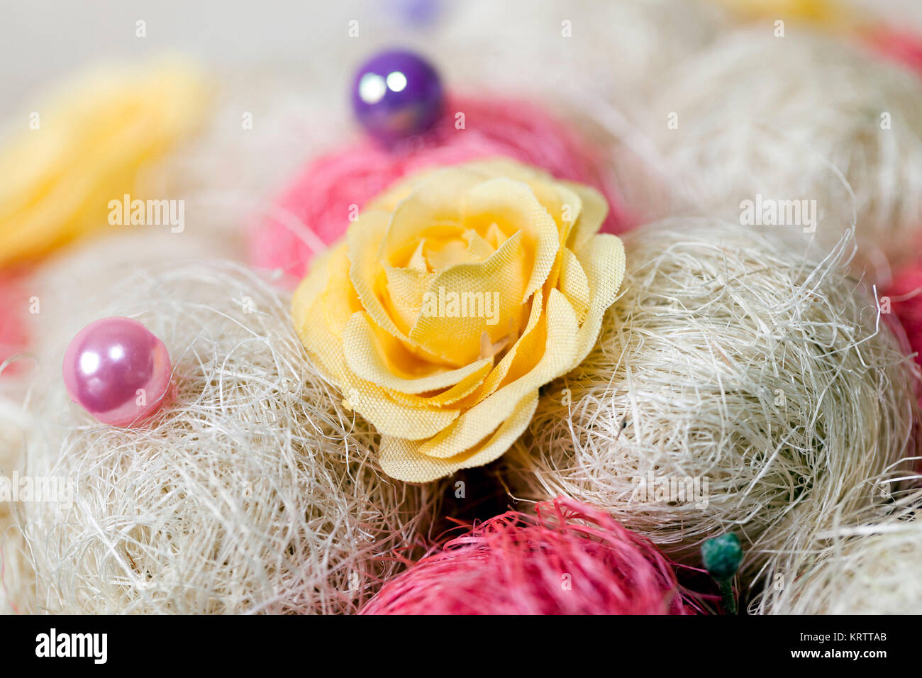 Tree of sisal Stock Photo - Alamy