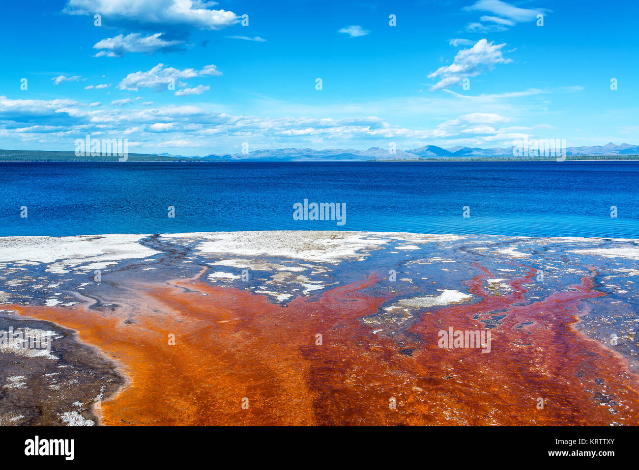 Bacteria Mat and Yellowstone Lake Stock Photo - Alamy