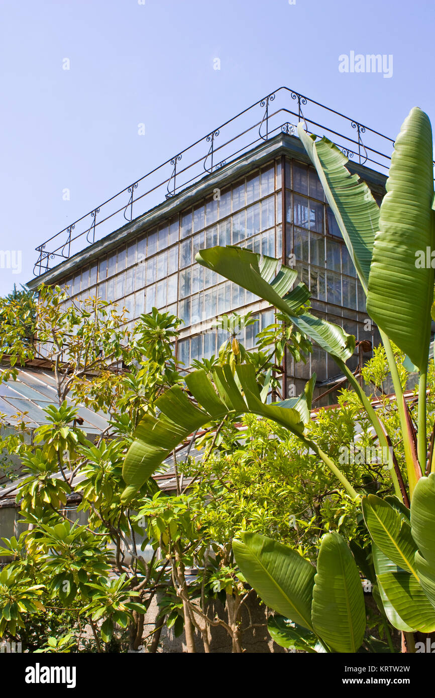 Old greenhouse "Botanical Garden of Graz" in Austria with many ...