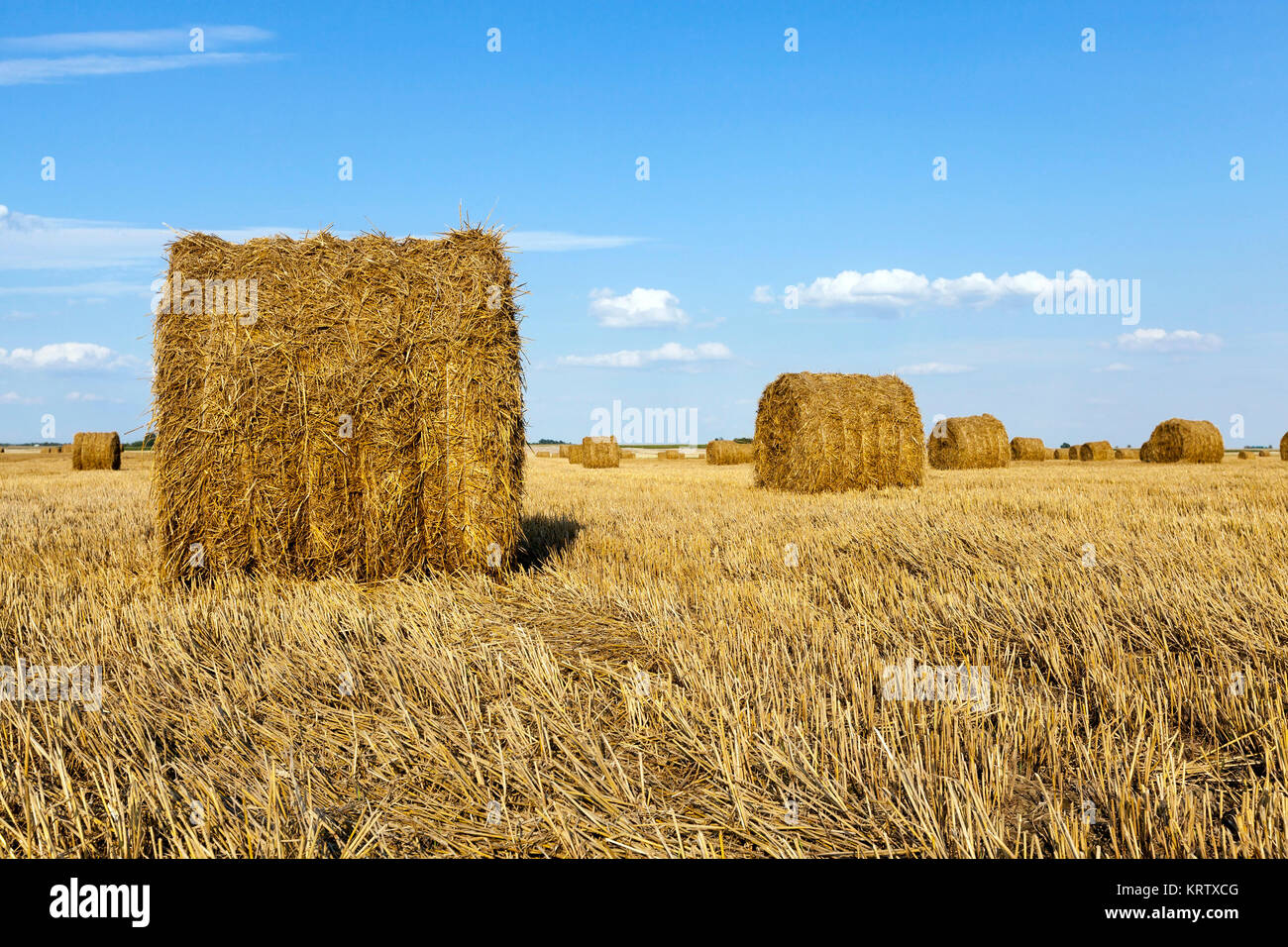 haystacks straw, close up Stock Photo - Alamy