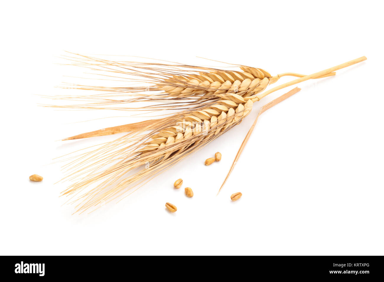 Ears of wheat Stock Photo - Alamy