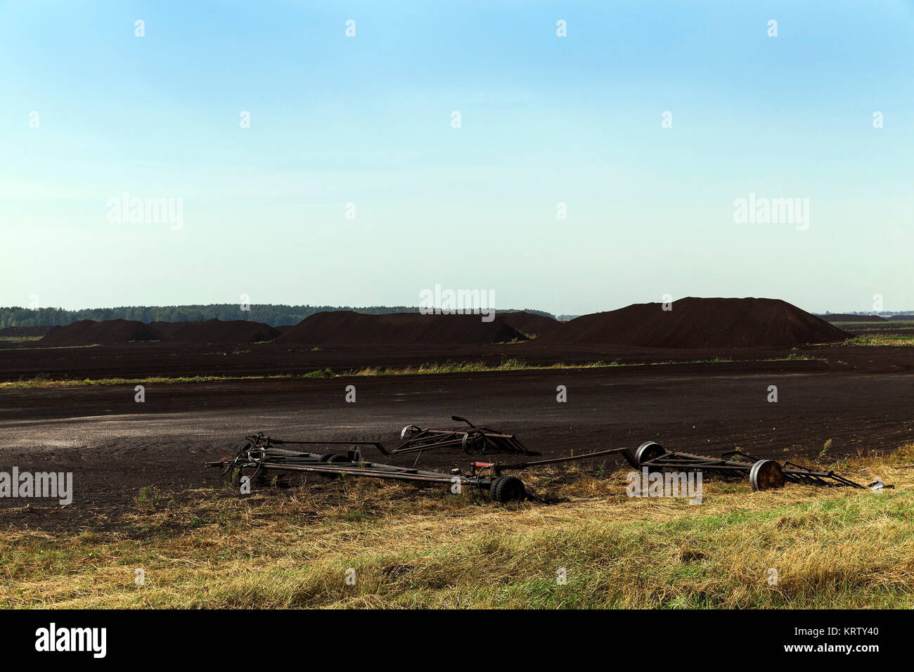 Desiccation fossil hi-res stock photography and images - Alamy