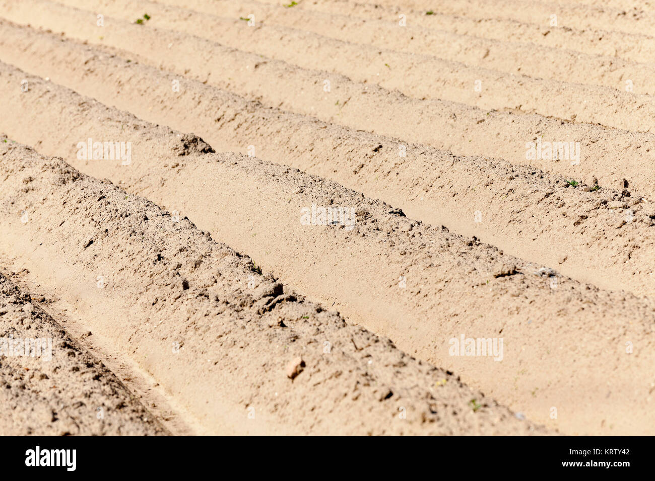 plowed for crop land Stock Photo - Alamy
