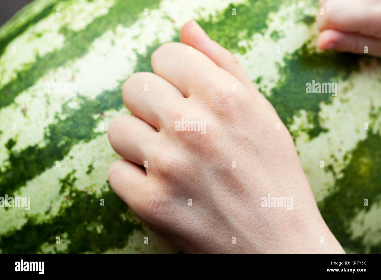 hand on watermelon Stock Photo - Alamy