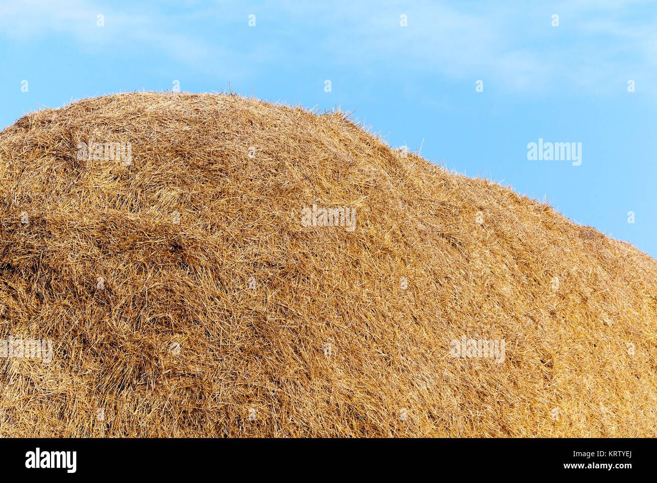 stack of straw in the field Stock Photo - Alamy
