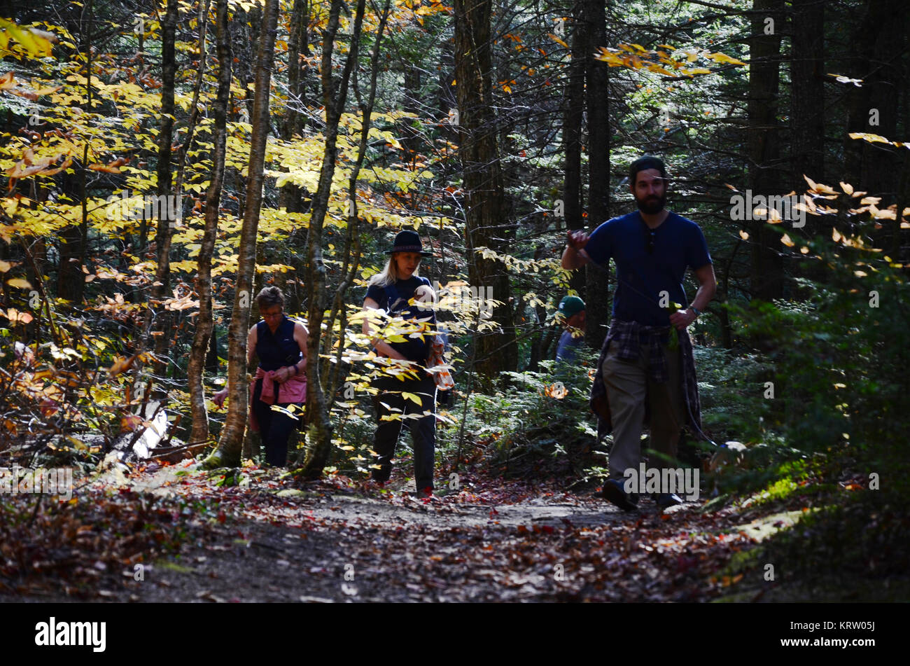Family hiking on Mill Trail to Bingham Falls, Stowe, Vermont, USA Stock ...