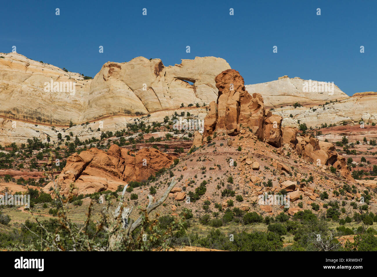 Burr trail switchbacks hi-res stock photography and images - Alamy