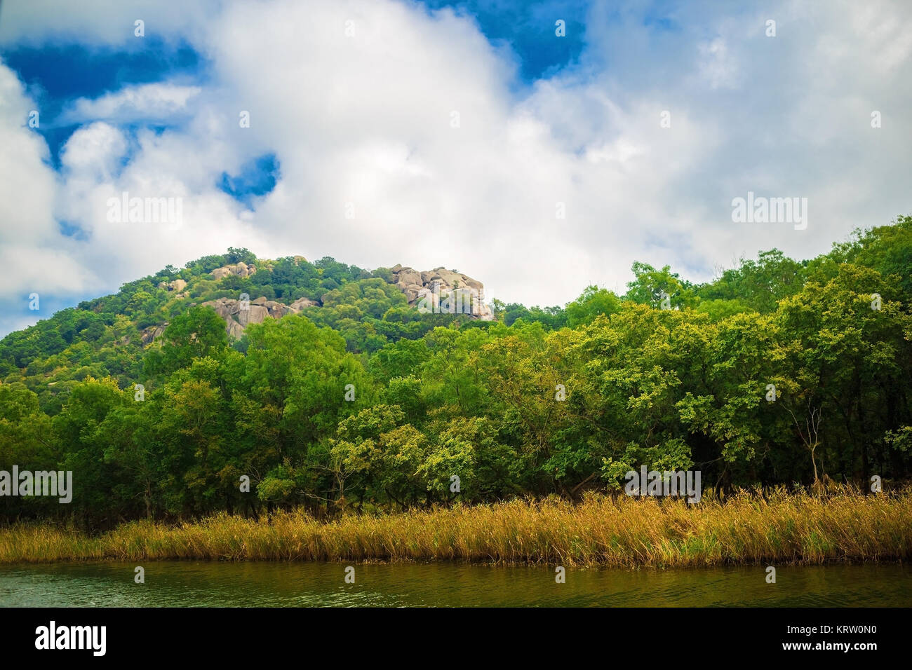 Green vegetation and mountains Stock Photo - Alamy