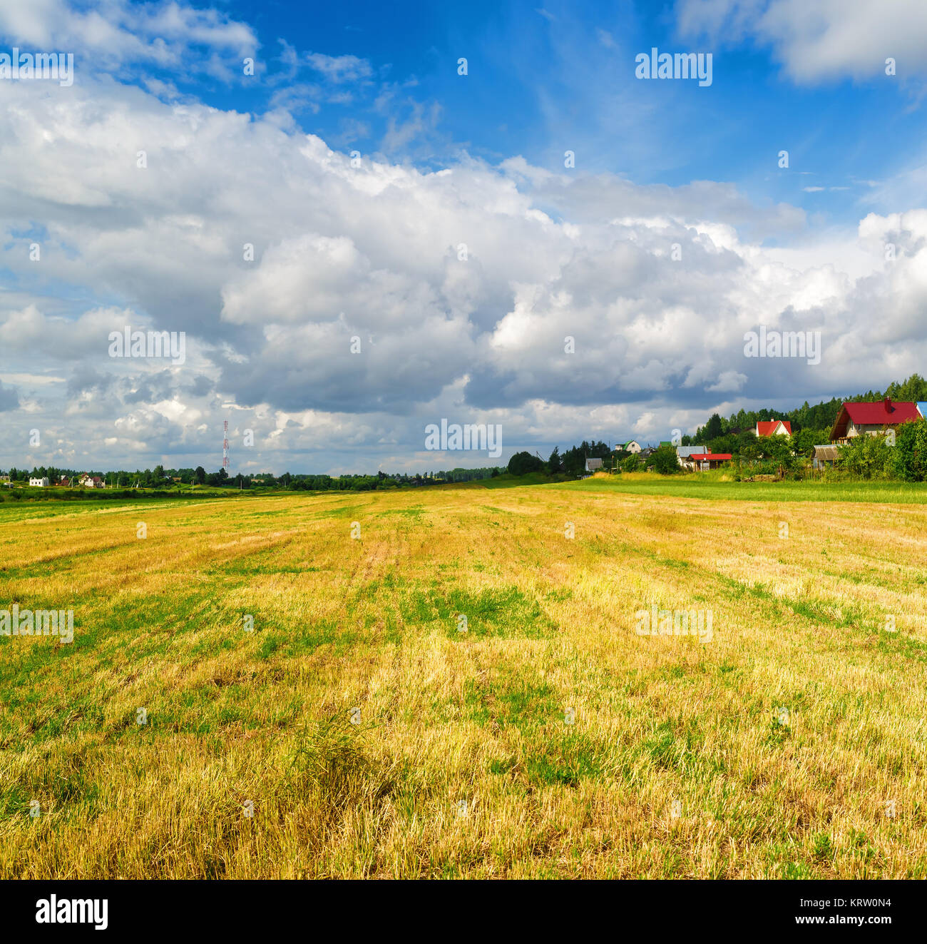 Field of cut grass Stock Photo - Alamy