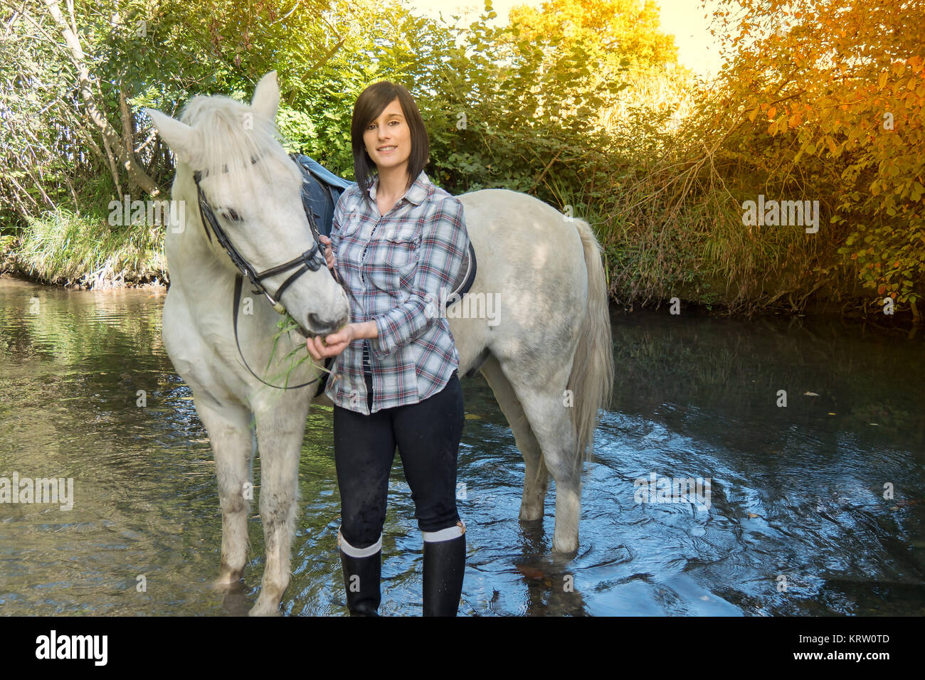 pretty young woman with white horse riding Stock Photo - Alamy