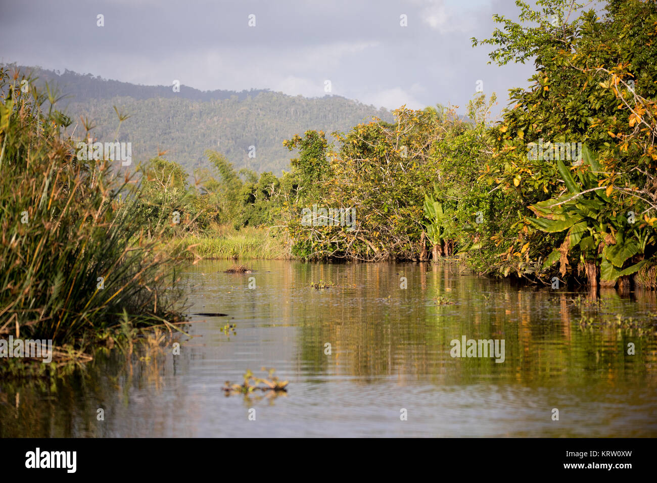 Madagascar traditional river landscape Stock Photo - Alamy