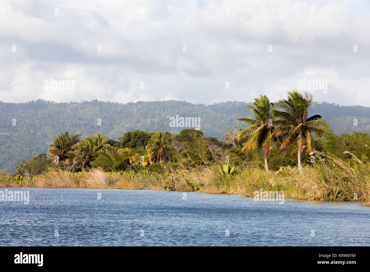 Madagascar traditional river landscape Stock Photo - Alamy