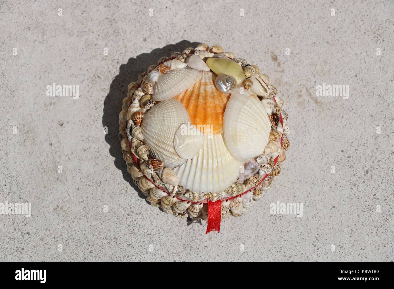 Beautiful sea shell Stock Photo - Alamy