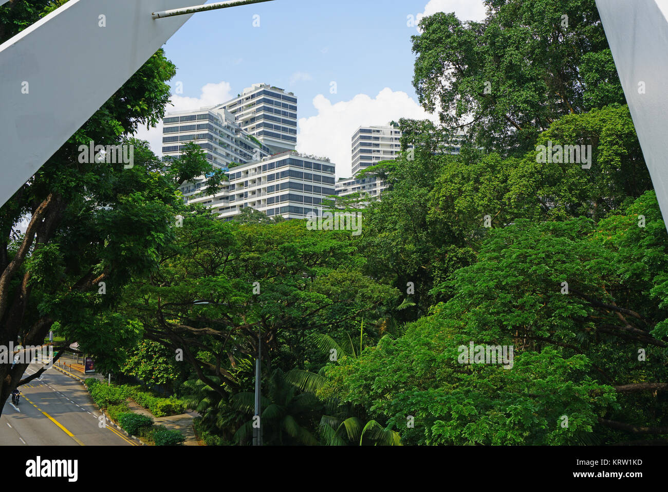 View of the Southern Ridges, a trail connecting parks along the ...