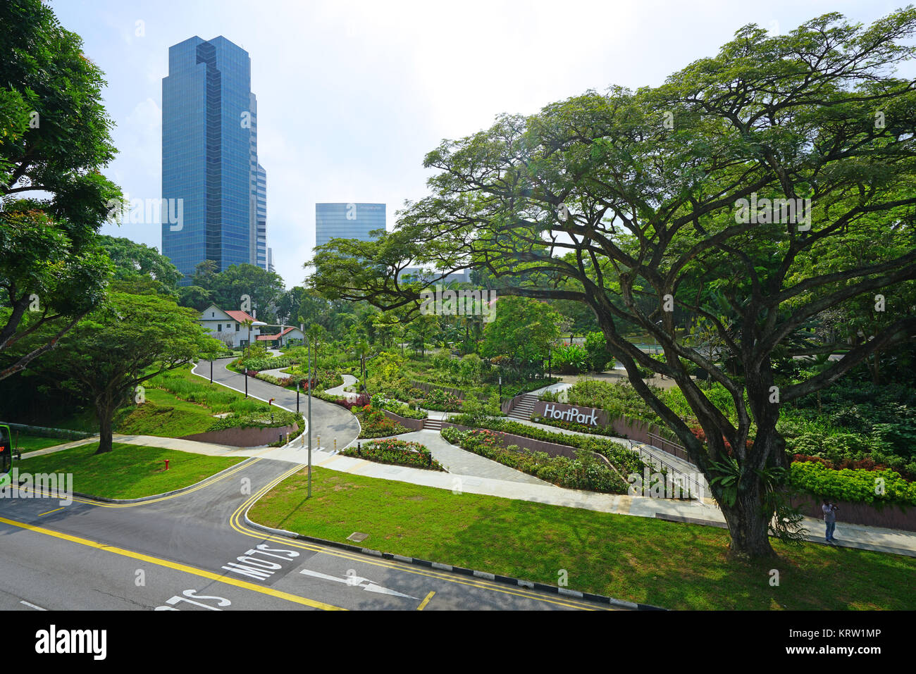 View of the Southern Ridges, a trail connecting parks along the ...