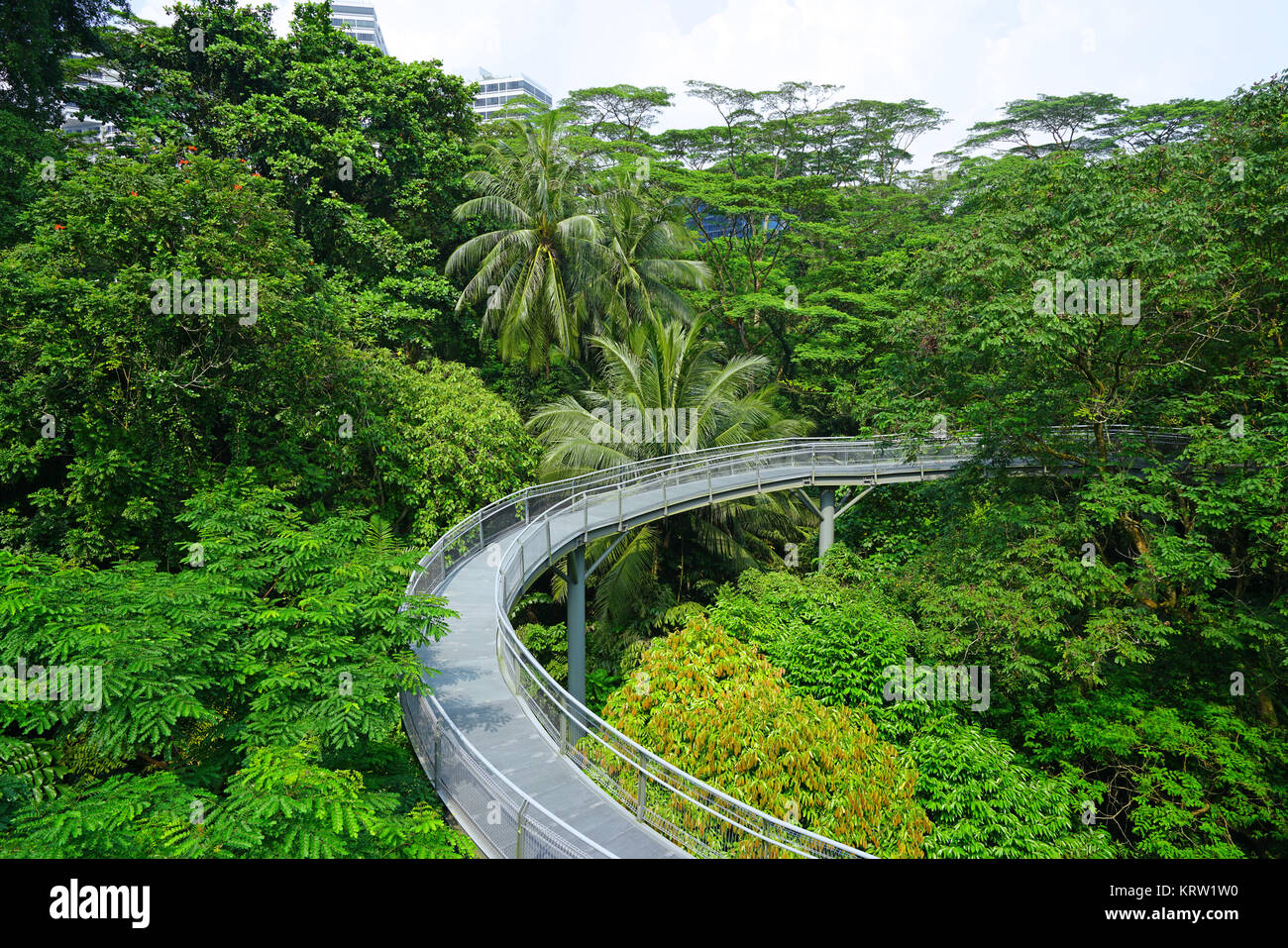 View of the Southern Ridges, a trail connecting parks along the ...