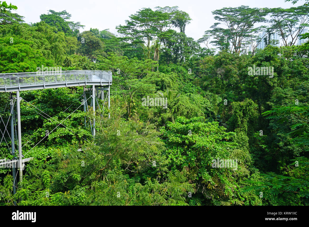 View of the Southern Ridges, a trail connecting parks along the ...